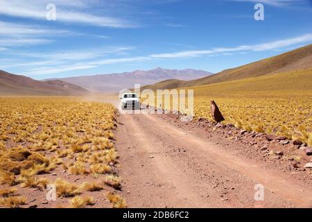 Car along the road with Peruvian feathergrass, jarava ichu, in the Puna ...