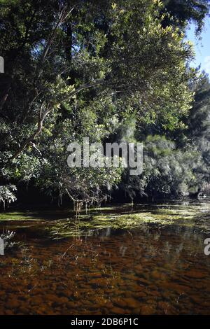 Shallow Crossing in NSW Australia Stock Photo - Alamy