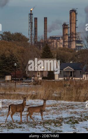 BP oil refinery in Whiting, Indiana. One of the oldest and largest oil ...