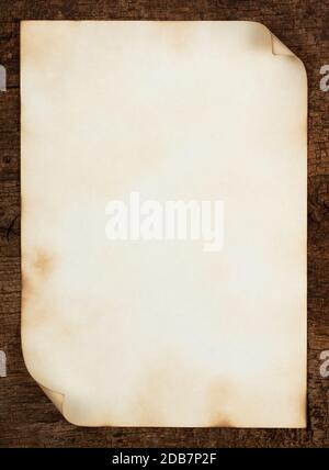 Sheet of old paper with curled edges on the wooden background Stock ...