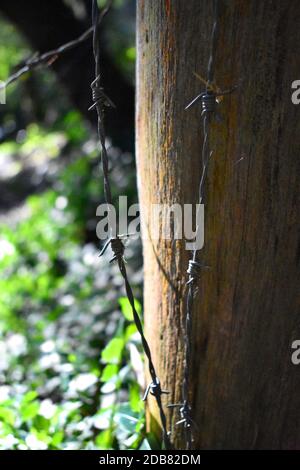 Barbed wire next to a wooden post outdoors Stock Photo - Alamy