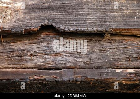 Damaged and burned wood beam after fire inferno Stock Photo - Alamy