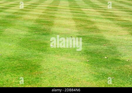 Cultivated and cutted green grass soccer field Stock Photo - Alamy