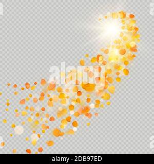 Fall maple leaves with delicate sun for decoration. Autumn leaves ...