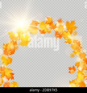Fall maple leaves frame with delicate sun for decoration. Autumn leaves ...
