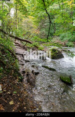 Lower Decew Conservation Area Ontario Canada Stock Photo - Alamy