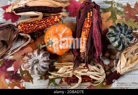 Autumn colorful leaves, acorns, and corn on white rustic wooden ...