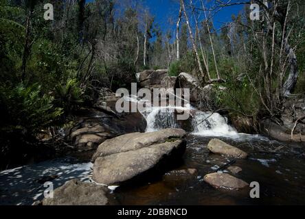 Murrindindi Cascades are on the Murrindindi River at the top of the ...