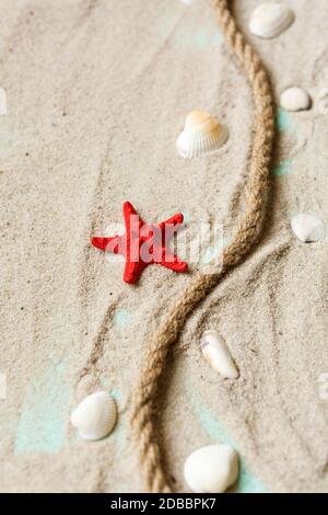 Various seashells and mooring rope on wooden background. Close up photo ...