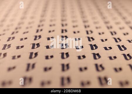 Calligraphic letter R learning skills paper page. Calligraphy letters r ...