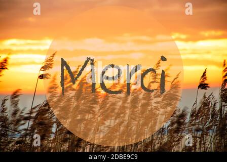 Merci (which means thank you in French) written with wooden letters on ...