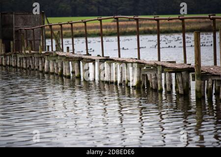 Livermere lake, Ampton water, suffolk, england, uk Stock Photo - Alamy