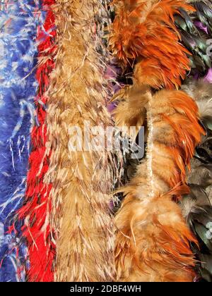 Many different bird feathers on white background, flat lay. Space for ...