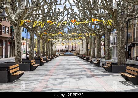 Catalonian flags in Main street Rambla with shade of plane trees at ...