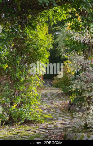 idyllic garden scenery near Gerardmer, a commune in the Vosges ...
