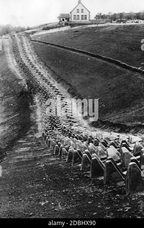 Dragons teeth, concrete anti-tank obstacles, still remaining on Chesil ...