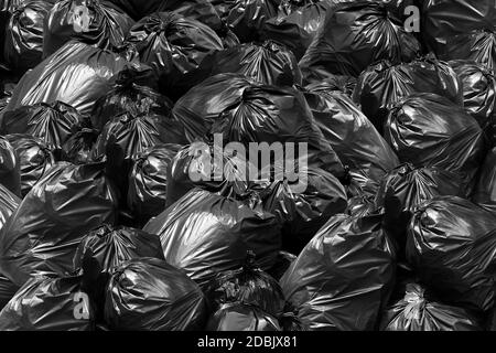 Black garbage store