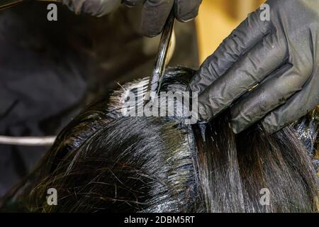 Hair dye color applied on the scalp by a hairdresser wearing black ...