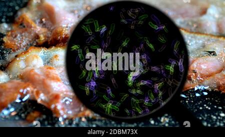 Searching for bacteria in meat Stock Photo - Alamy