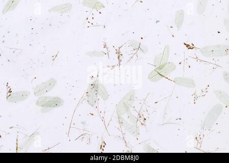 Handmade traditional japanese rice paper, texture background Stock ...