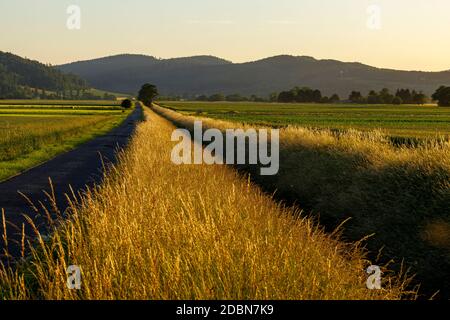 sunset over the field in the werra valley Stock Photo - Alamy
