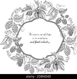 Twigs hop background. Sketch. Hand drawing. Design concept. Vector ...