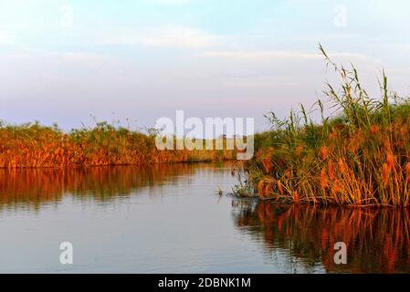 River trip on the Kwando River in the Caprivi region, Namibia Stock ...