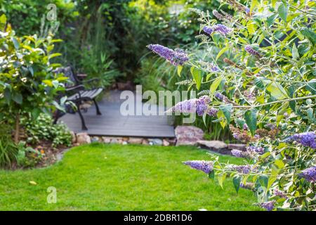 Peaceful Garden. Beautiful Garden with a Freshly Mowed Lawn ...