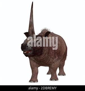 Elasmotherium is an extinct mammal that lived in the Pleistocene Period ...