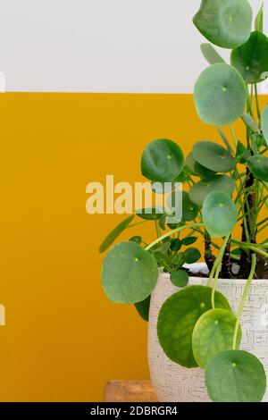 A beige wall is half painted with white paint. Abstract design ...