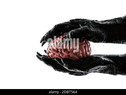 Human brain in monster hands isolated on white background with clipping ...