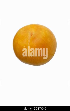Early Dapple pluot (Prunus x Early Dapple). Called Early Dapple ...