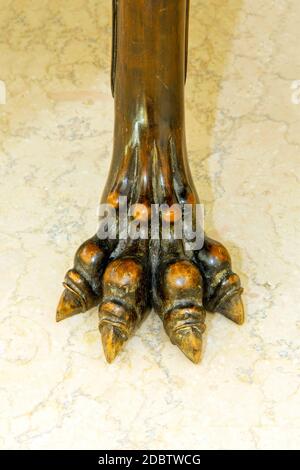 Wild table leg Stock Photo - Alamy