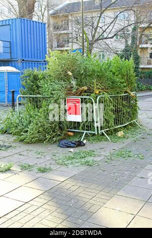 Collection site for composting old Christmas tree Stock Photo - Alamy
