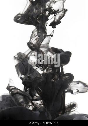 black ink droplet issolated on white background Stock Photo - Alamy
