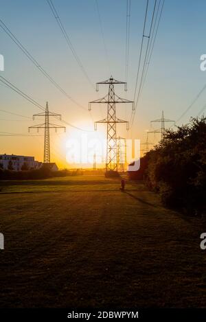 electrical pylons in sunset Stock Photo - Alamy