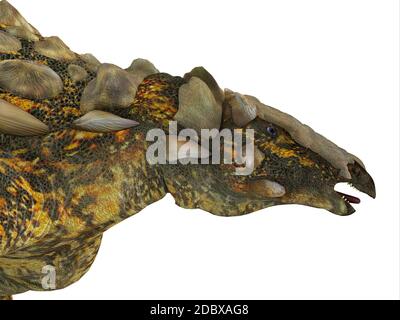 Gargoyleosaurus was an ankylosaur armored herbivorous dinosaur that ...