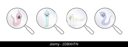 Illustration of a tapeworm in a human intestine. Tapeworms (Taenia sp ...