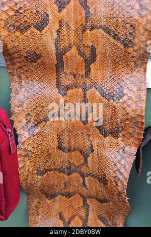 Real snake skin brown leather Stock Photo - Alamy