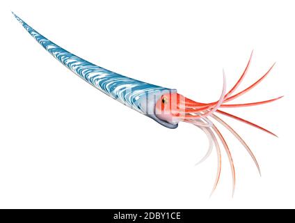 3D rendering of a Baculites, extinct shelled cephalopod animal isolated ...
