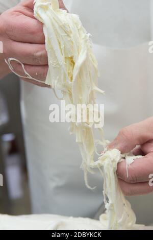 production of the typical apulian mozzarella called burrata Stock Photo ...