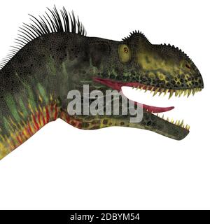 Megalosaurus was a large carnivorous theropod dinosaur that lived in ...