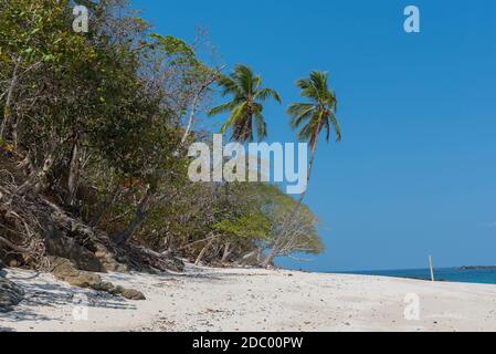 tropical beach on the cebaco island, Panama Stock Photo - Alamy