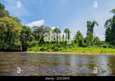 Temburong River, Virgin Rainforest, Ulu Temburong National Park, Brunei ...