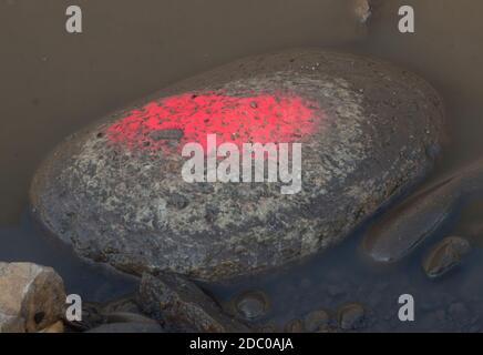 the color red, associated with danger, love, courage and passion Stock ...