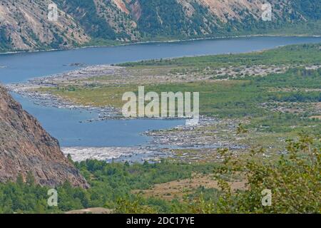 Logs Floating After Volcanic Devastation in Spirit Lake in Mt St Helens ...