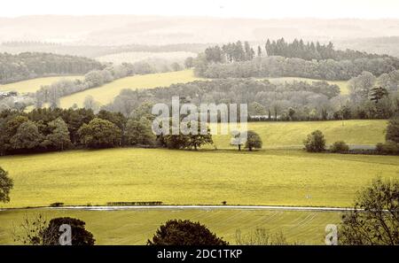 Autumn oak at Newlands Corner Stock Photo - Alamy