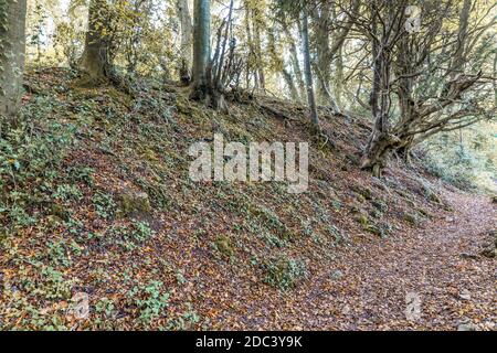 Offas Dyke Path running alongside a section of Offas Dyke above Tintern ...