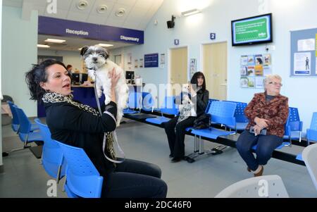 PDSA veterinary surgery waiting room Stock Photo - Alamy