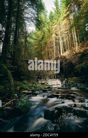 Snake woodland Peak District Stock Photo - Alamy